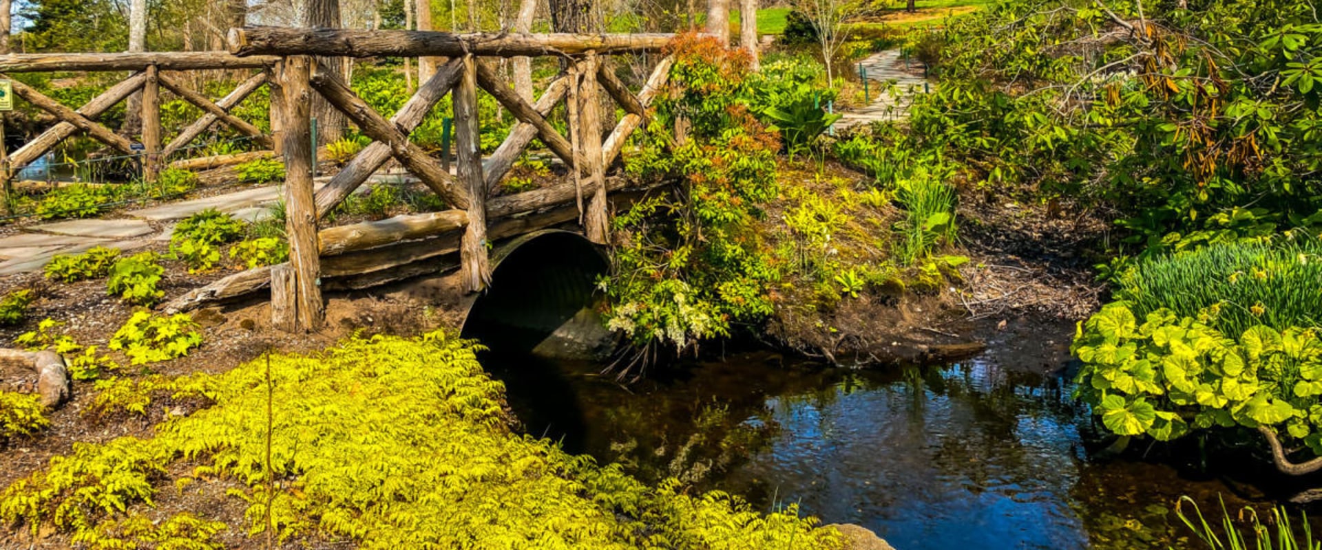 Exploring the Best Parks and Recreation Areas in Suffolk County